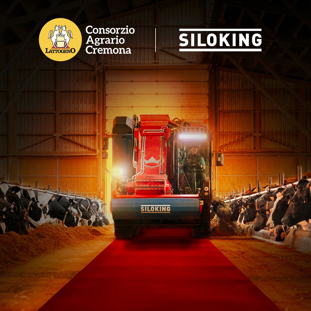 SILOKING_Sonsorzio Agrario di Cremona
