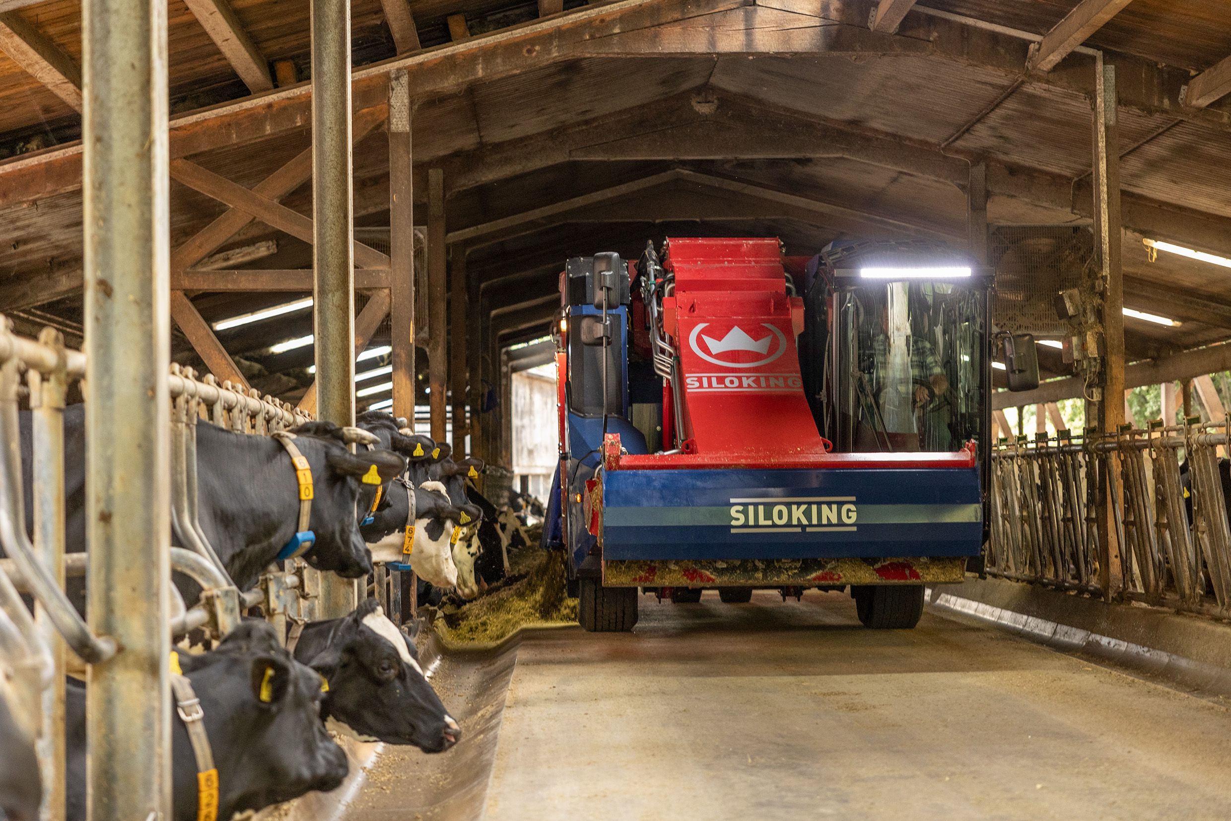 SILOKING SelfLine 4.0 Compact 1612