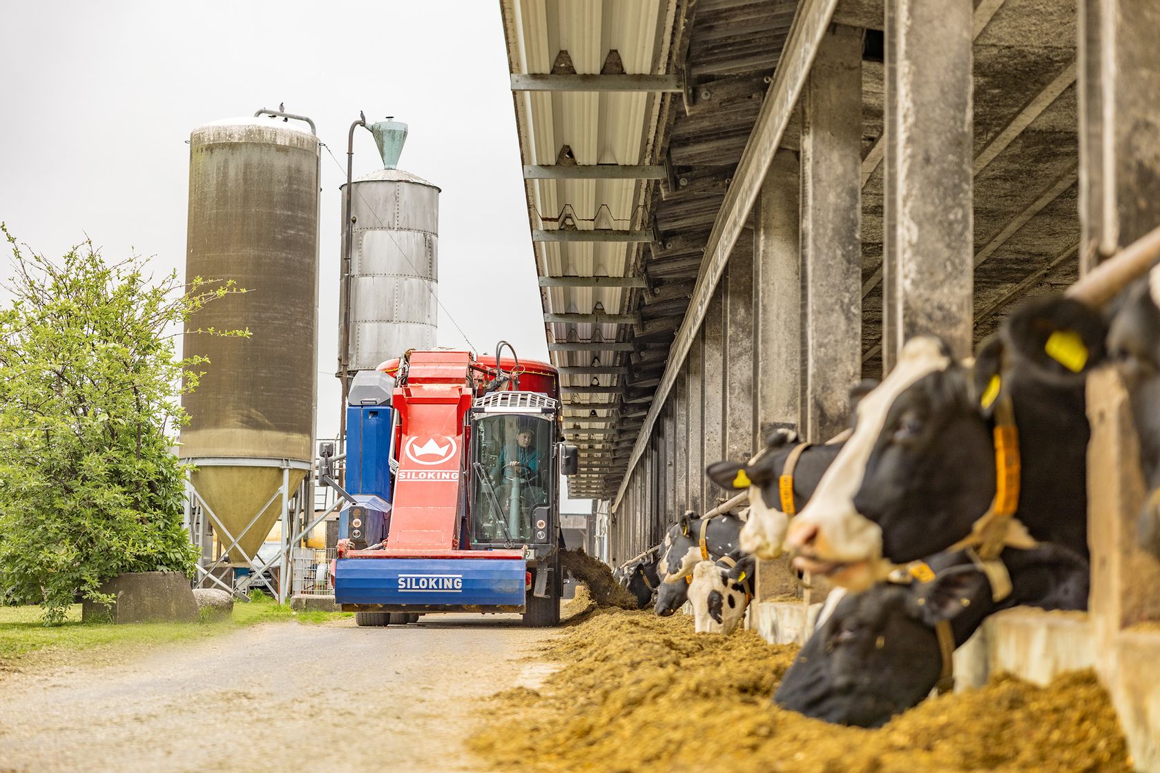 SILOKING SelfLine 4.0 System 1000+ 3225