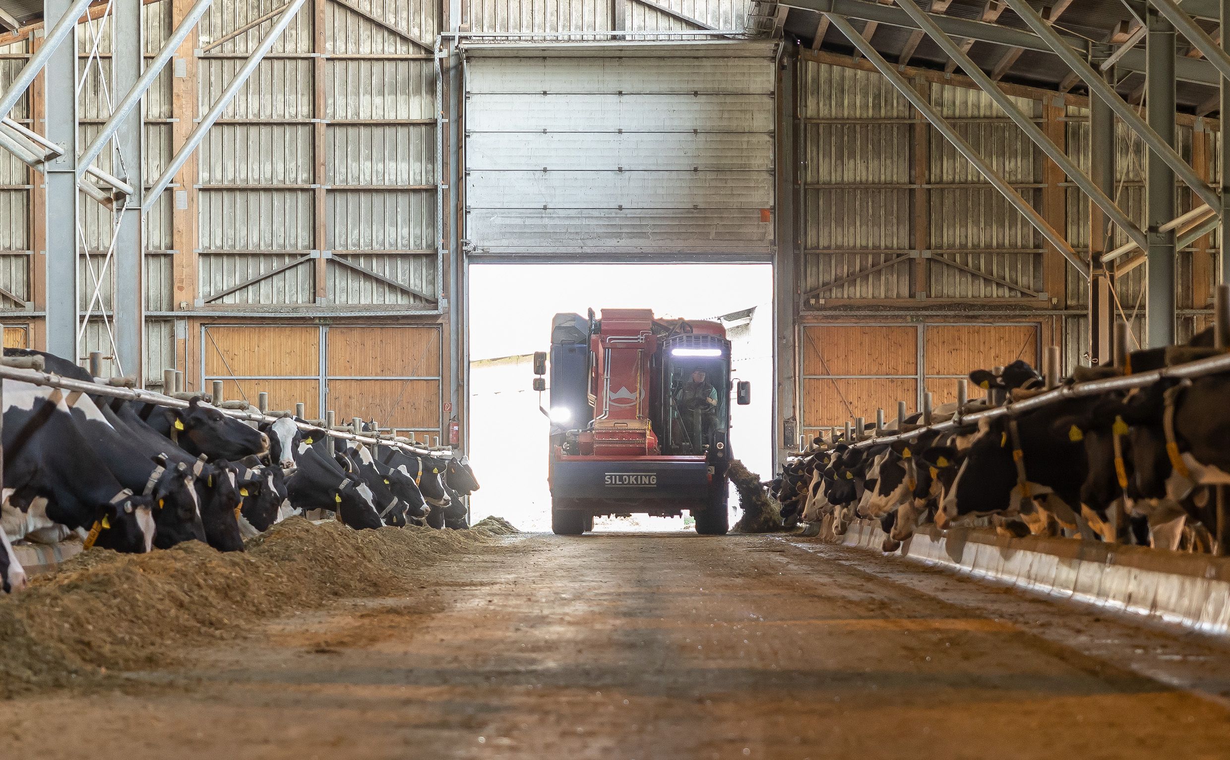 SILOKING SelfLine 4.0 System 300+ 2519