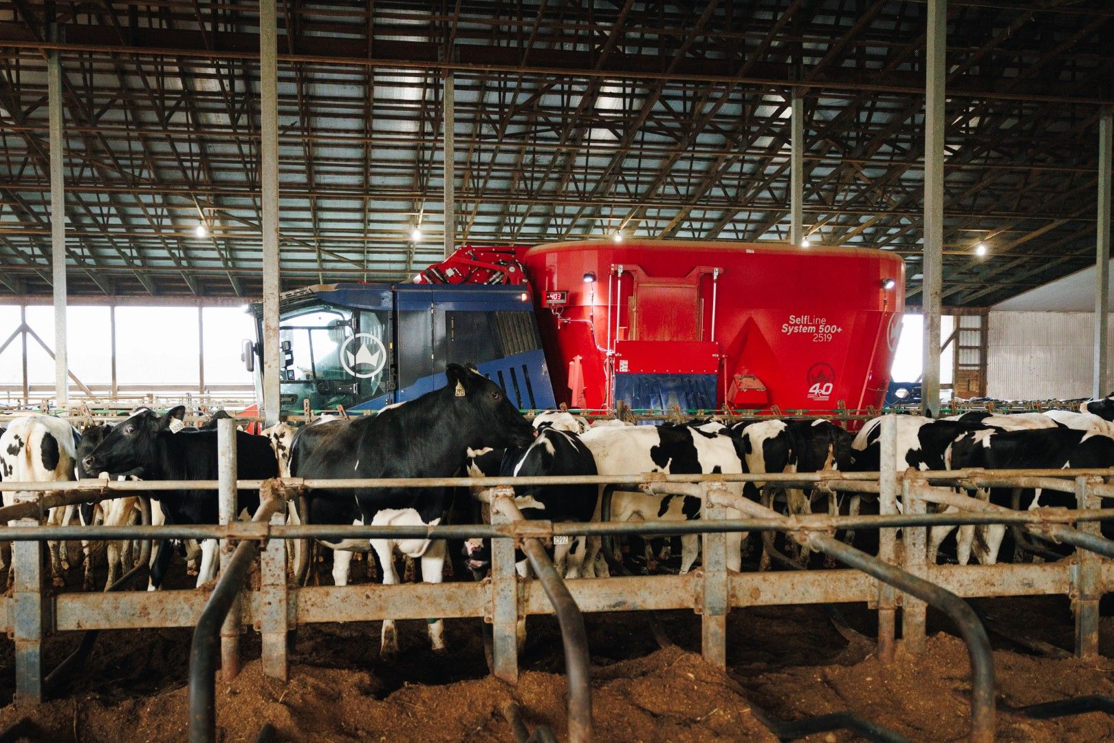 SILOKING SelfLine 4.0 System 500+ 2519