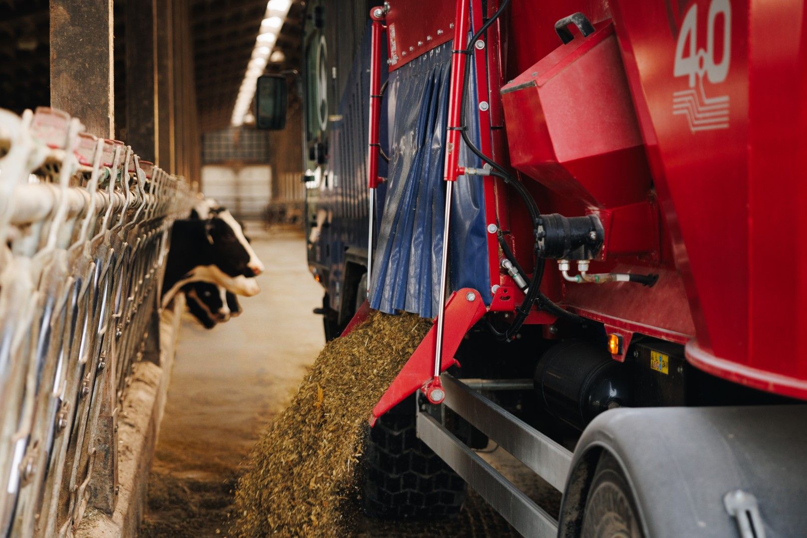 SILOKING SelfLine 4.0 System 500+ 2519